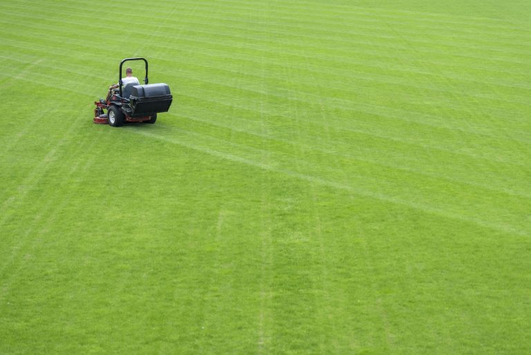 Turf Maintenance – Green Turf